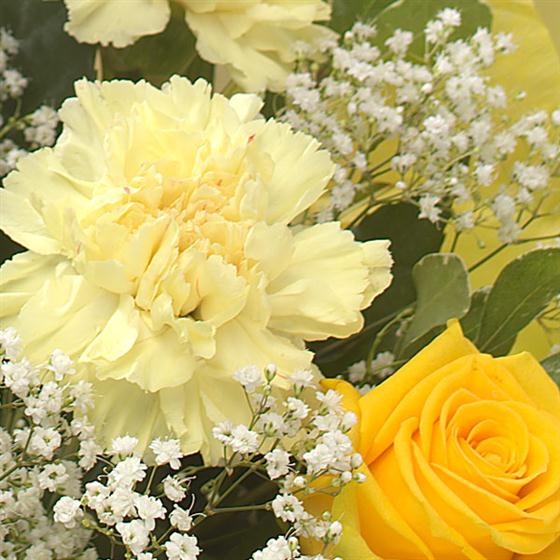 Roses and Carnations Yellow Dream